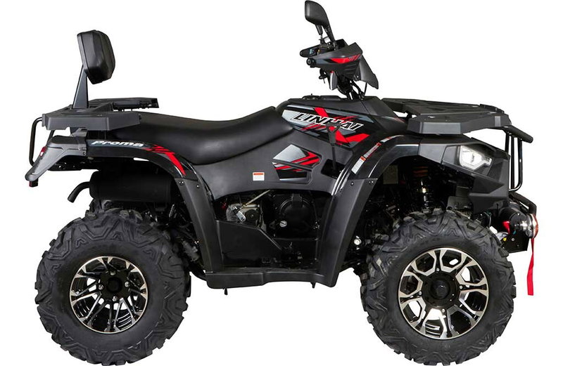 Linhai Quad 300-2D Promax EFI 4x4 mit T3b Zulassung