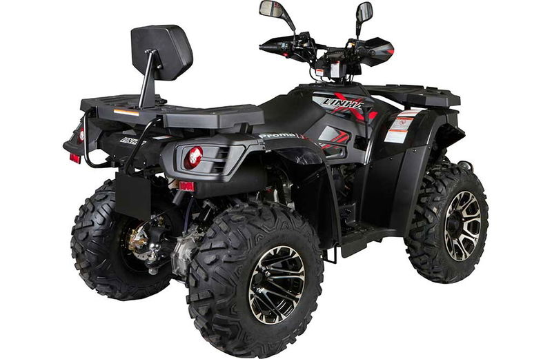 Linhai Quad 300-2D Promax EFI 4x4 mit T3B Zulassung