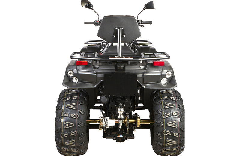 Linhai Quad M210 T3B EFI 2x4, mit Straßenzulassung